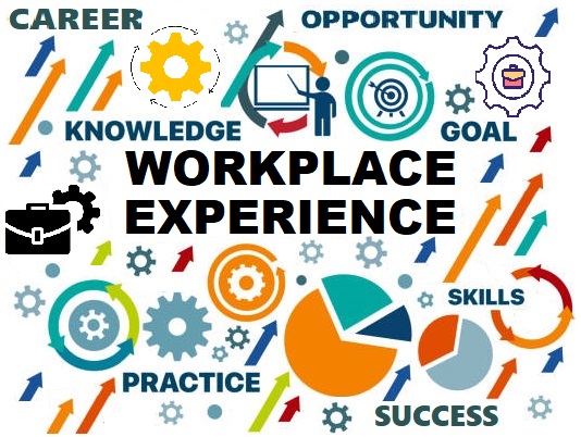 Workplace Experience Opportunity for Students | International Department